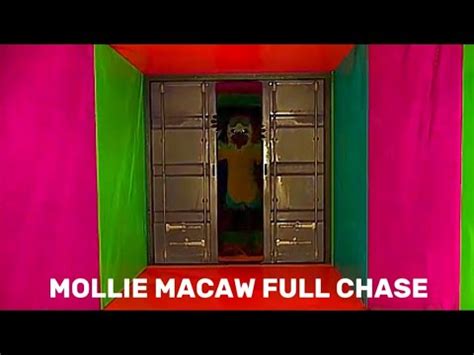 Indigo Park Chapter 1 Mollie Macaw Full Chase Youtube