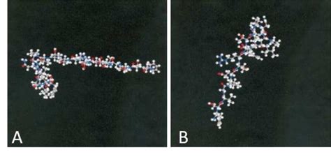 Three Dimensional 3d Structure Of Control Peptide A Download Scientific Diagram