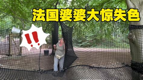 法国婆婆陪混血孙儿玩耍正高兴，转头被吓得大惊失色，看见啥了 Youtube