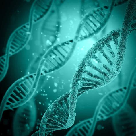 Colorful DNA Structure Stock Photo Merznatalia 70932455