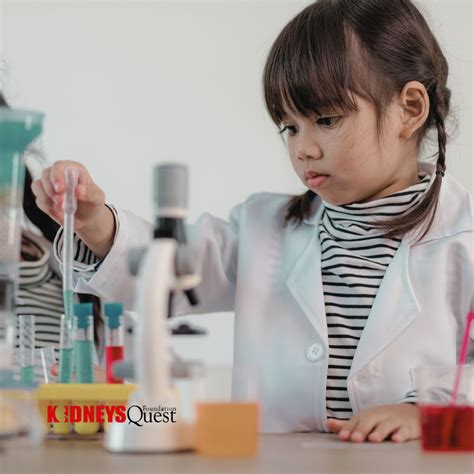 How To Understand Lab Tests And Communicate Effectively Carolyn Lemos Urquidez Posted On The