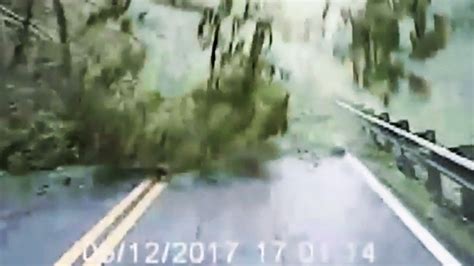 Driver S Dashcam Captures Trees Falling On Car