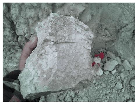 Century Lithium Tsxv Lce Investor Overview Inn