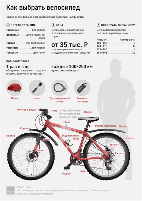 На что обратить внимание при выборе велосипеда Инфографика ТАСС
