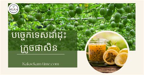 កសិកម្ម នាទីកសិកម្ម Kaksekam Time