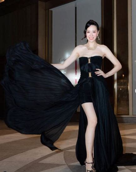 Who Is Cissy Wang The Private Life Of Donnie Yens Wife Celebrities Infoseemedia