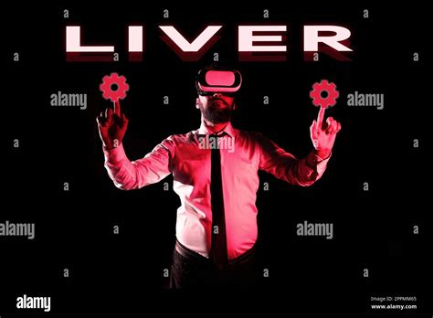 Text Sign Showing Liver Word For Large Lobed Glandular Organ In The