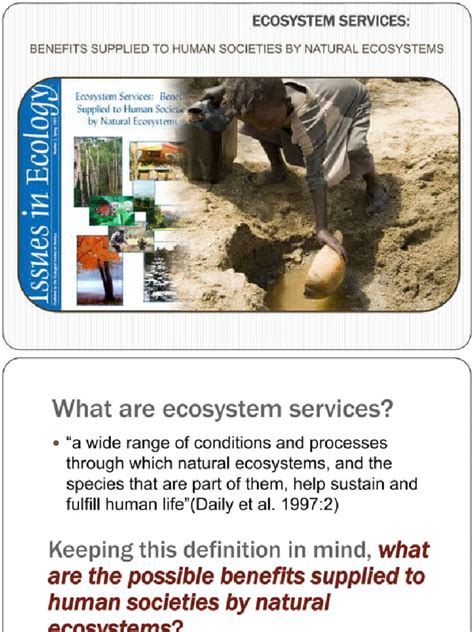 Ecosystem Services Pdf