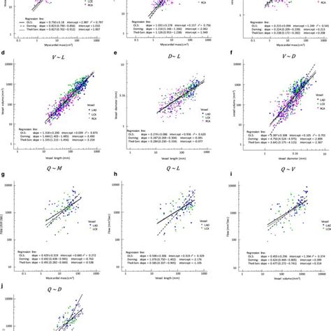 log‐log plots among segment‐specific left ventricular myocardial mass