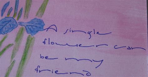 Calligraphy Southscribes Inc Akim Cursive