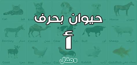 اسماء حيوانات بالحروف الأبجدية مقال