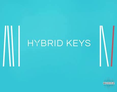 Download Native Instruments Hybrid Keys V2 0 1 KONTAKT DVDR AudioZ