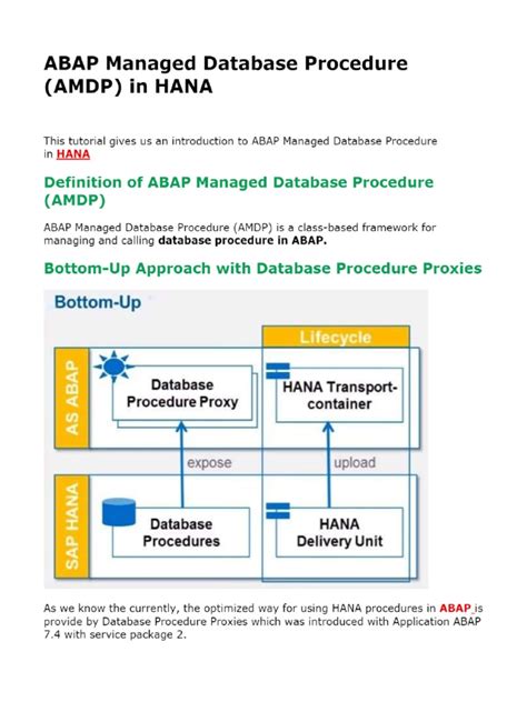 Abap Managed Database Procedure Amdp In Hana Pdf
