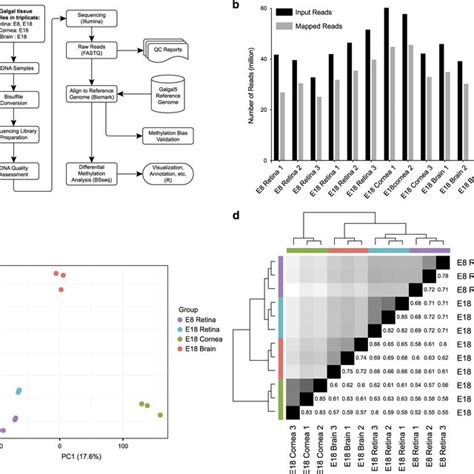 Experimental Overview And Assessment Of Read Mapping Read Length And Download Scientific