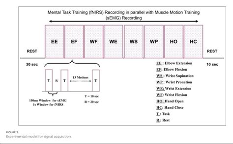 Figure 3 From Deep Learning Based Framework For Real Time Upper Limb