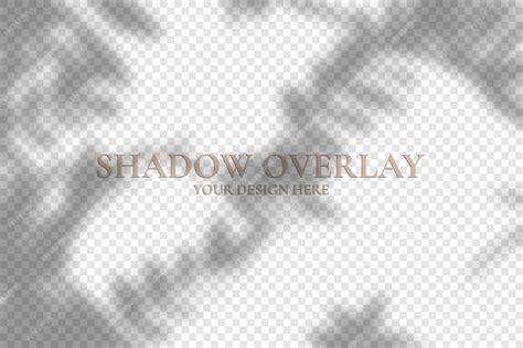 목업을 위한 식물 또는 나무 가지와 잎의 흐릿한 실제 그림자 오버레이 효과 프리미엄 Psd 파일