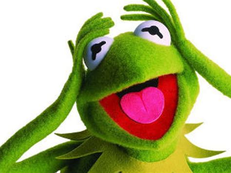 Kermit Eyebrow Memes The Kermit Scrunch Face Appreciation Thread