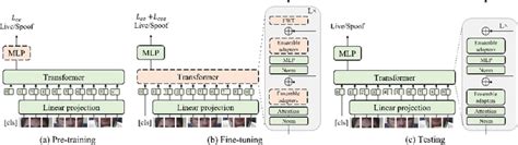 Adaptive Transformers For Robust Few Shot Cross Domain Face Anti Spoofing