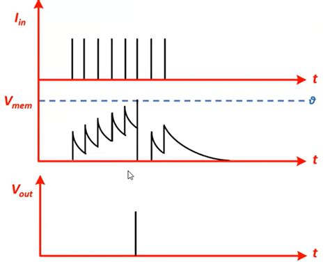 Spiking Neural Network A Bionics Way To Represent And Process Data