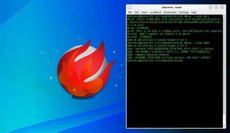Running Zfs With Cam Based Ata On Freebsd 81 Phoronix