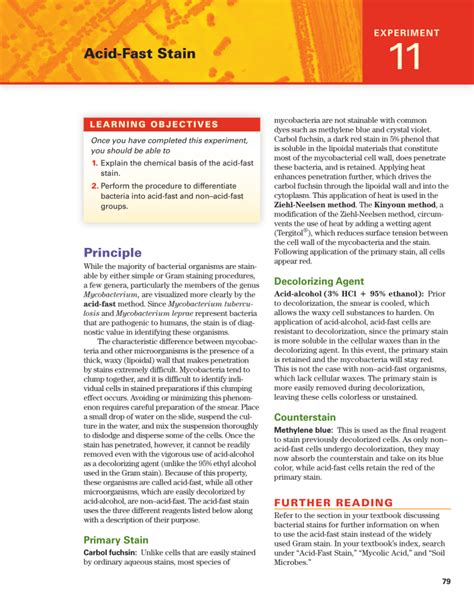 Acid Fast Stain Lab Procedure