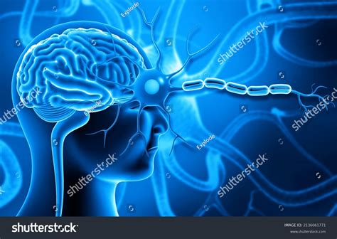 Human Brain Neurons Background 3d Illustration Stock Illustration