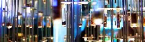 Tester Des Sites Web Pour Par Test Gr Ce Testapic Et D Autres Sites