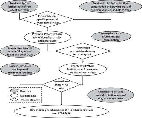 diagram for processing spatially explicit time series of phosphorus