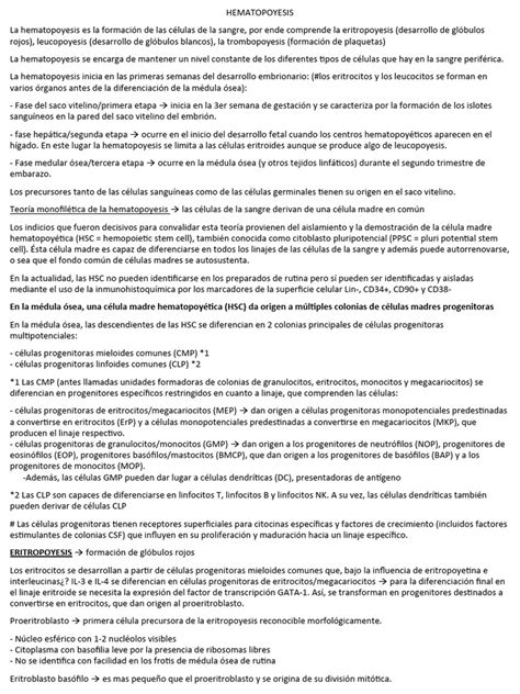Hematopoyesis Pdf Hematopoyesis Linfocitos