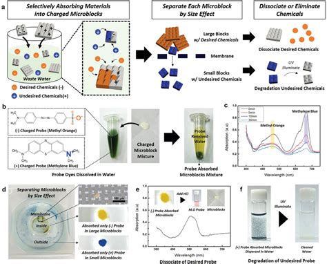 A Schematic Illustration Of Selective Absorption And Separation Of Download Scientific Diagram