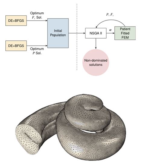 Finite Element Modeling Evolutionary Optimization And Clinical Data