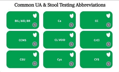 Common Ua And Stool Testing Abbreviations Genially