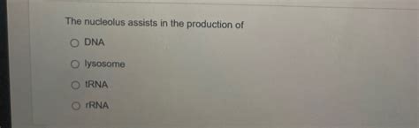 Solved The Nucleolus Assists In The Production Of Dna