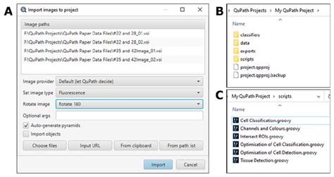 Import Of Images And Example Folder Structure A Import Images Dialog Download Scientific