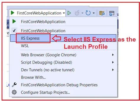 Aspnet Core Inprocess Hosting Dot Net Tutorials