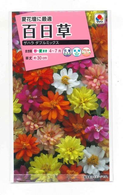 送料無料 花の種 百日草 ジニア ザハラダブル ミックス 小袋 タキイ種苗 株 花の種 花の種小袋春まき グリーンロフトネモト直営