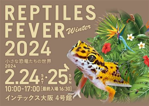 大阪市で爬虫類の展示販売イベント 小動物とのふれあい体験も いこーよニュース
