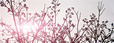 Optimize Drupal With Regular Pruning Smartt Digital Managed It And