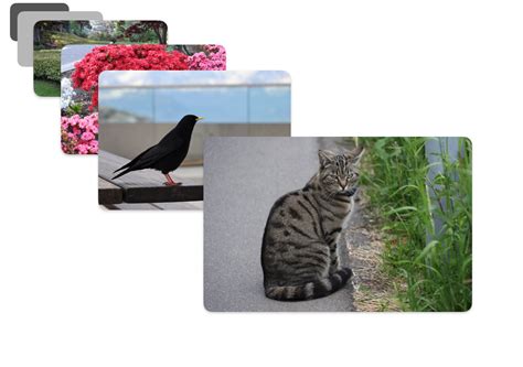 rsync a nifty open source folder sync tool for the photo worklfow toolkit