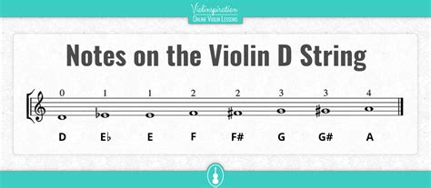 All Violin Notes On The D String With Easy PDF Charts Violinspiration
