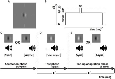 Illustration Of The Visual Gabor A And Auditory Masked Tone Pip B Download Scientific