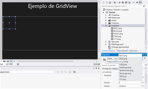 Gridview En Windows 8 Msestudiantes Tech