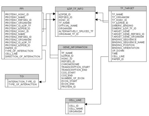 schematic diagram of bzipdb underlying relational database schema for