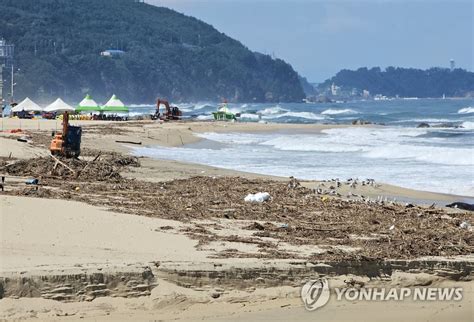 태풍이 해변에 남기고 간 쓰레기 연합뉴스
