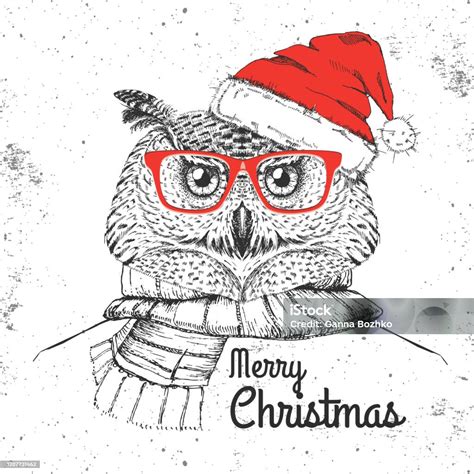 크리스마스 힙스터 패션 버드 올빼미 새해 모자와 스카프를 입고 겨울에 대한 스톡 벡터 아트 및 기타 이미지 겨울 계절 고풍스런 Istock