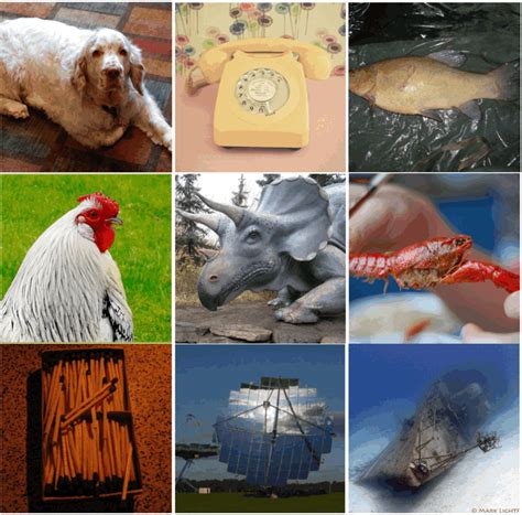 Zero TPrune Zero Shot Token Pruning Through Leveraging Of The Attention Graph In Pre Trained