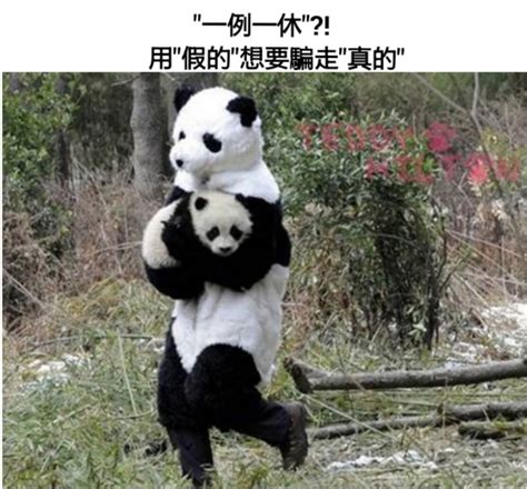 勞動黨反砍假 一例一休？！別再鬧了？！ 台灣果然是詐騙王國！「一例一休」這麼簡單的事情，也能在政、資、媒的聯合抄作下，搞得工人、消費者