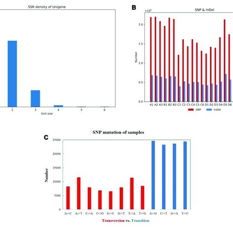 The Gene Structure And The SNP Analysis A The Density Distribution Download Scientific