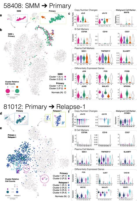 Patterns Of Plasma Cell Subpopulation Shift From Smm To Primary 58408 Download Scientific
