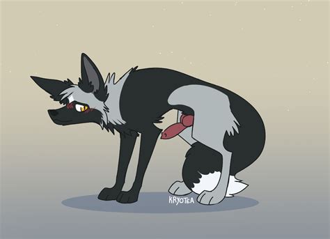 Rule 34 Animal Genitalia Animal Penis Canid Canine Canine Genitalia